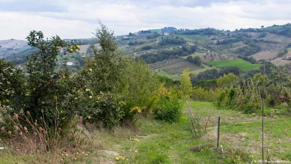 Organic farmers protecting Italy's rich food tradition - MarketExpress