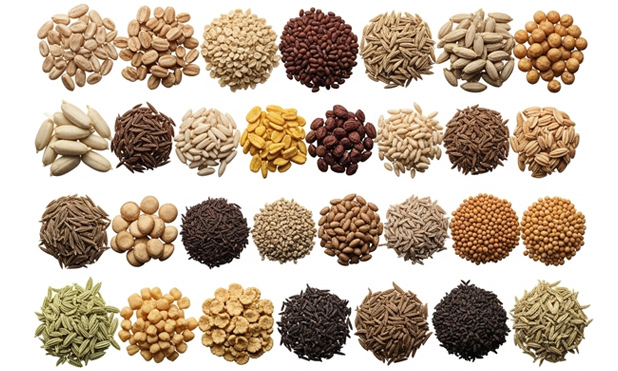 Seeds – For a resilient and sustainable growth in agriculture sector ...
